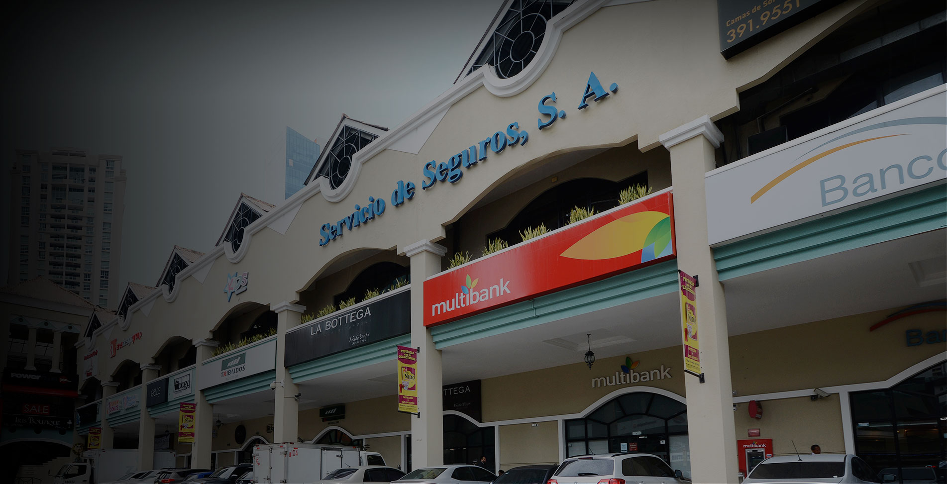 Grupo SEDES | Servicio de Seguros Panamá